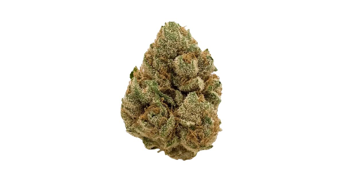 Blue Cheese Cannabis Strain Information - GrowDiaries