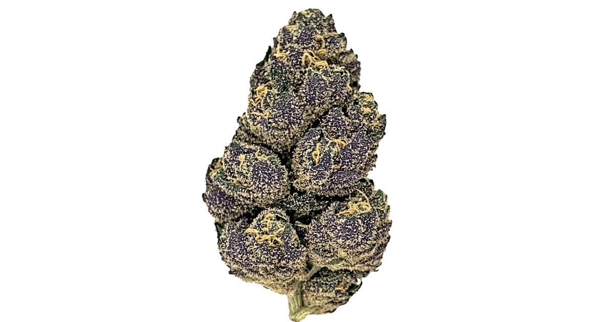 Guava Runtz Cannabis Strain Information - GrowDiaries