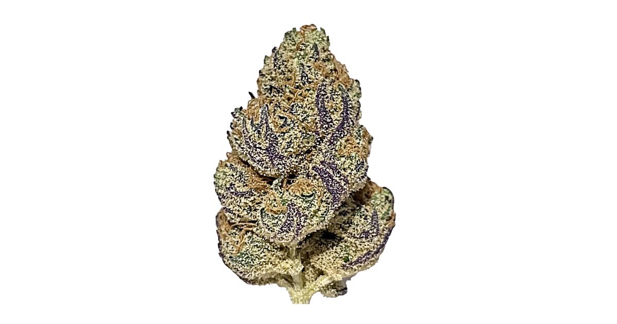 Casey Jones Cannabis Strain Information - GrowDiaries