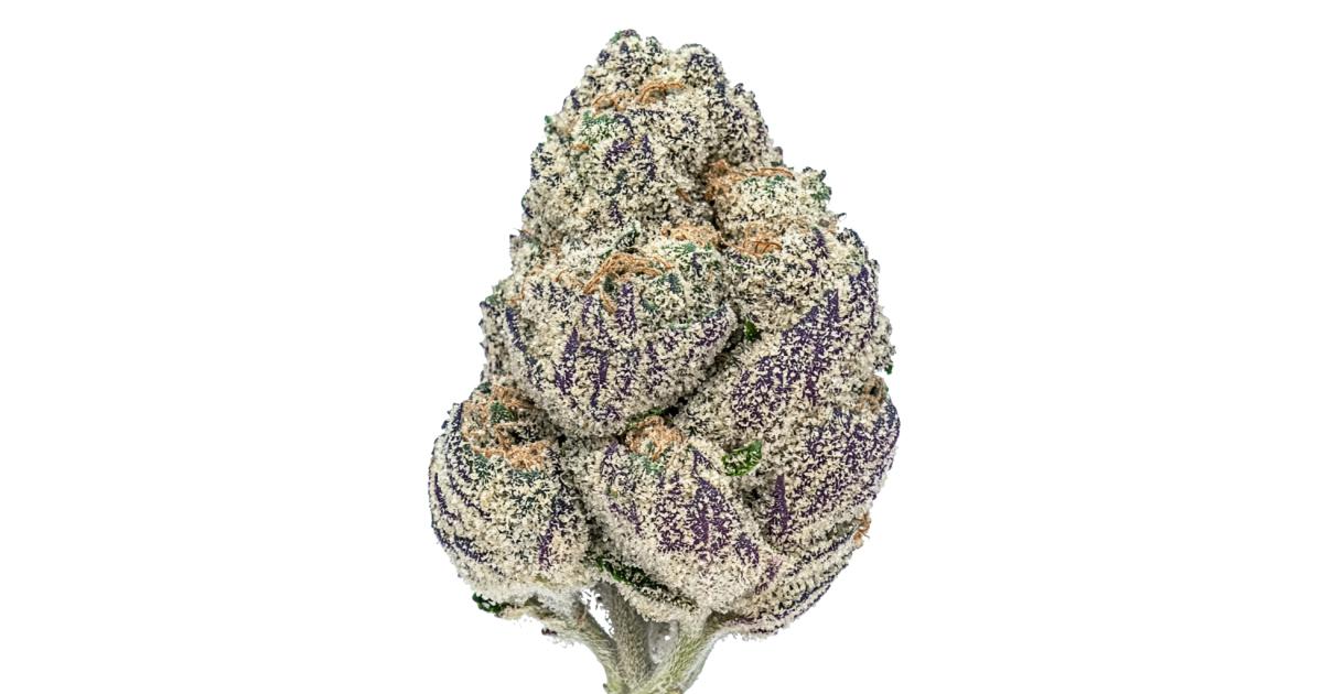 Zeclair Cannabis Strain Information - GrowDiaries