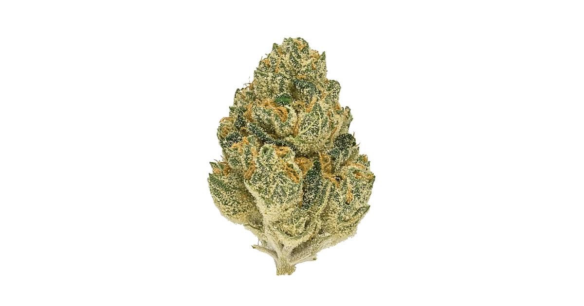 Sour Jealousy Auto Cannabis Strain Information - GrowDiar...
