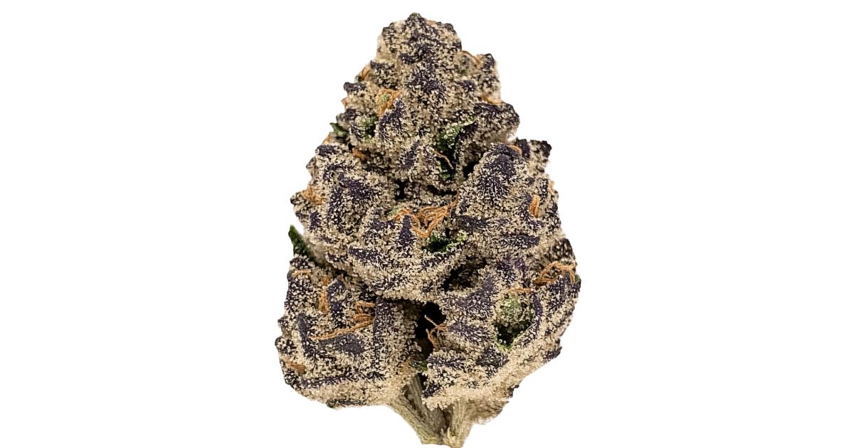 Purple Dream Cannabis Strain Information - GrowDiaries