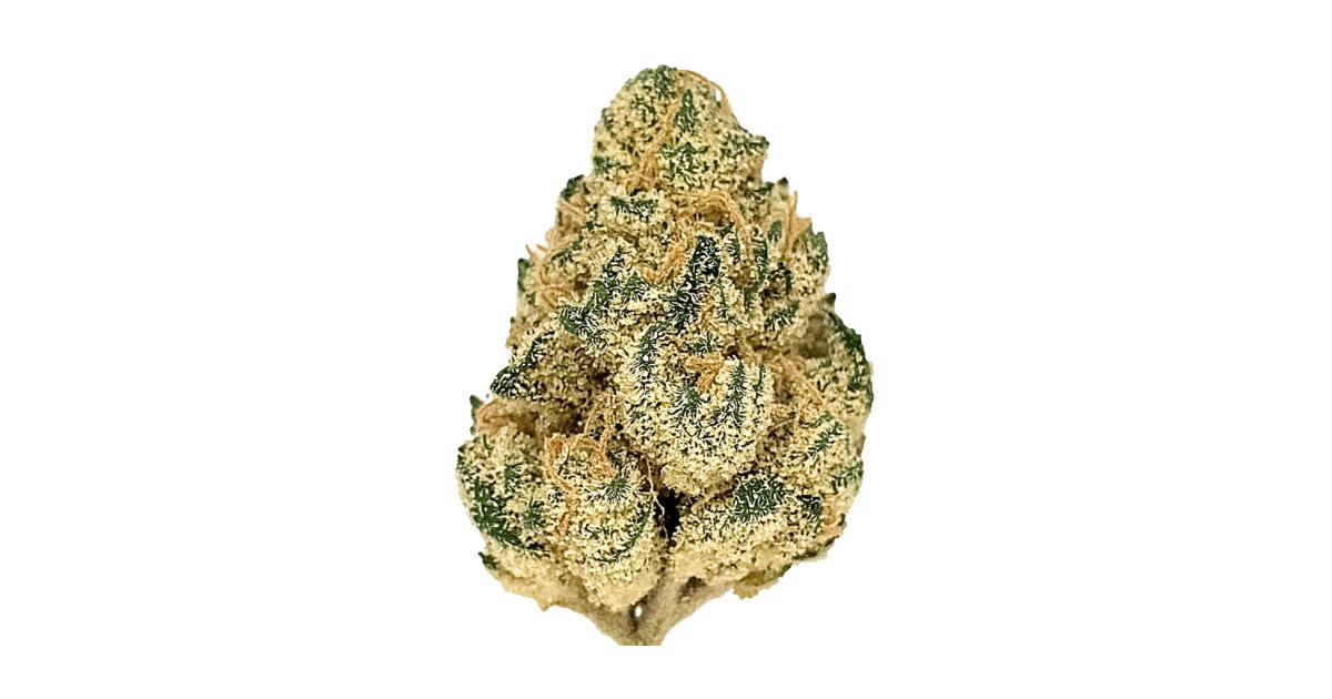 Mango Tango Cannabis Strain Information - GrowDiaries