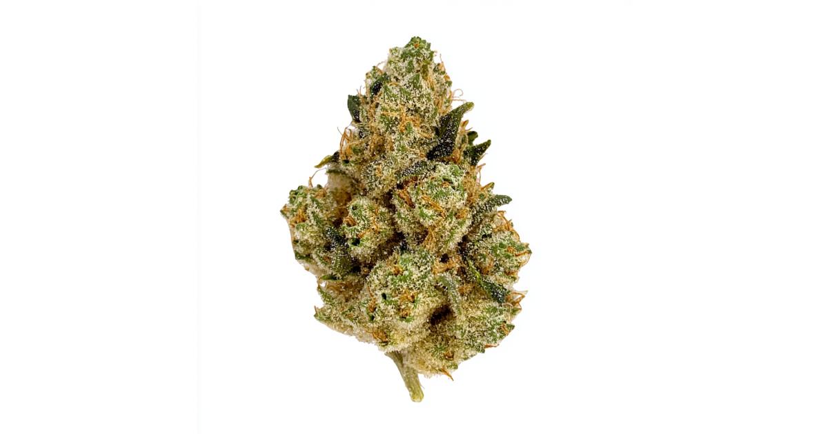 Jet Fuel Cannabis Strain Information - GrowDiaries