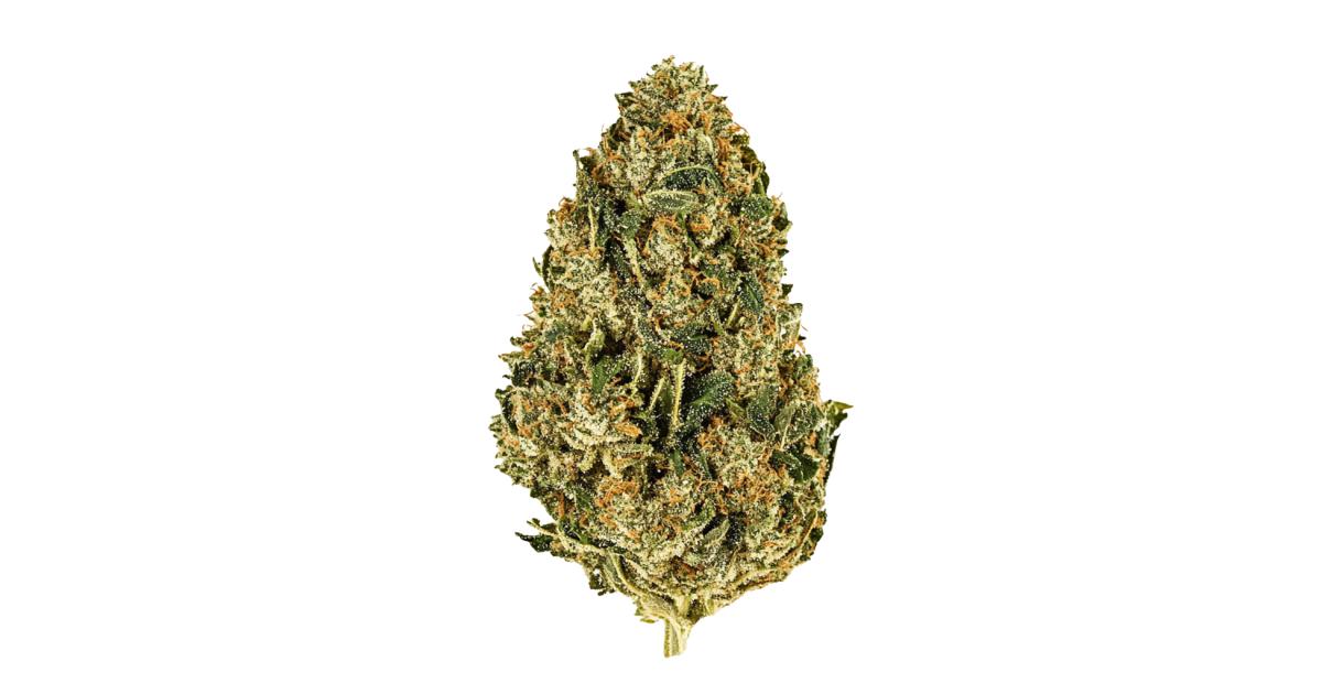 Cherry Z Cannabis Strain Information - GrowDiaries