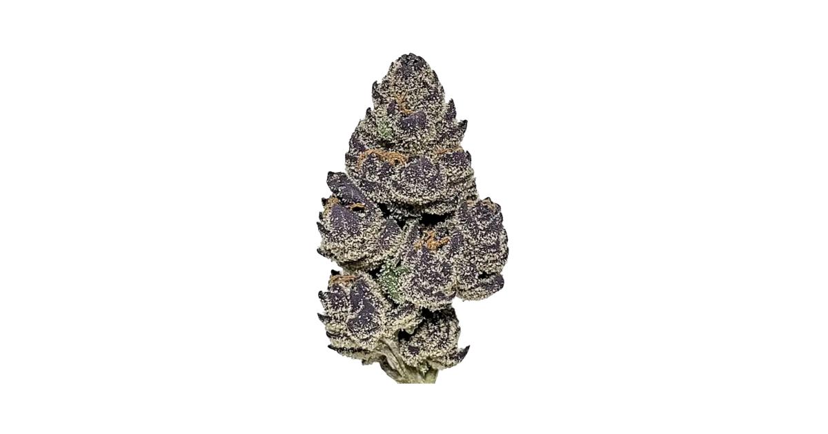 Purple Cookies Cannabis Strain Information - GrowDiaries