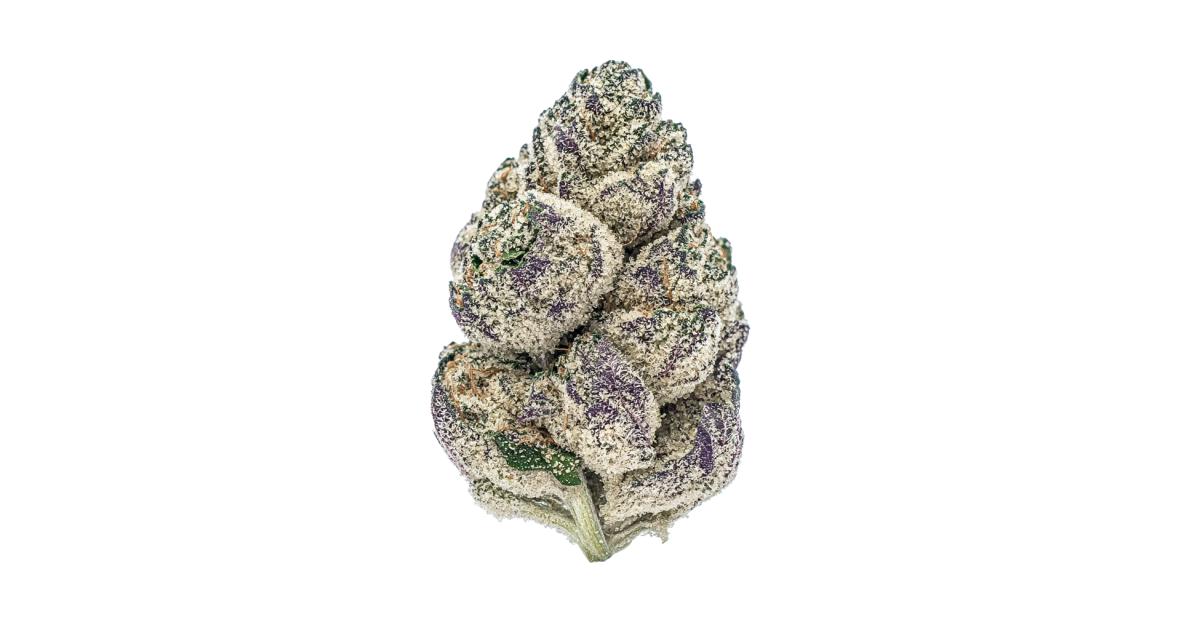 Platinum Kush Breath Cannabis Strain Information - GrowDiaries