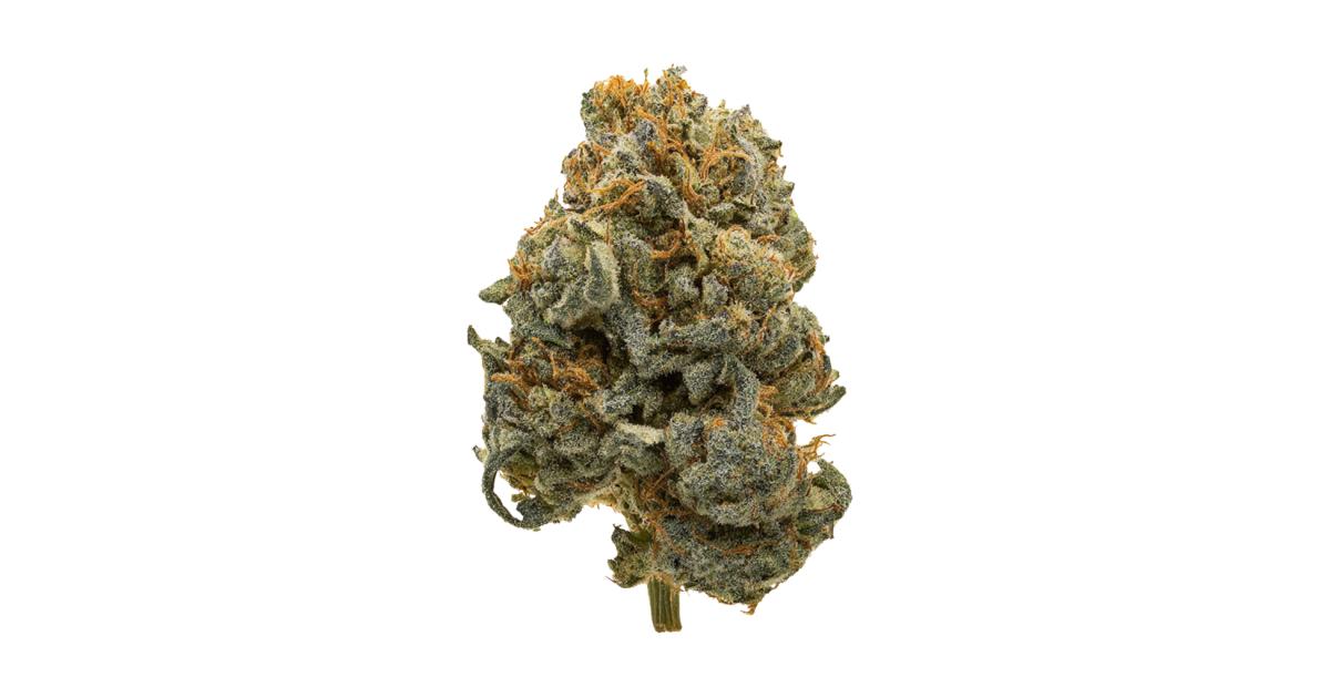 Sour Z Cannabis Strain Information - GrowDiaries
