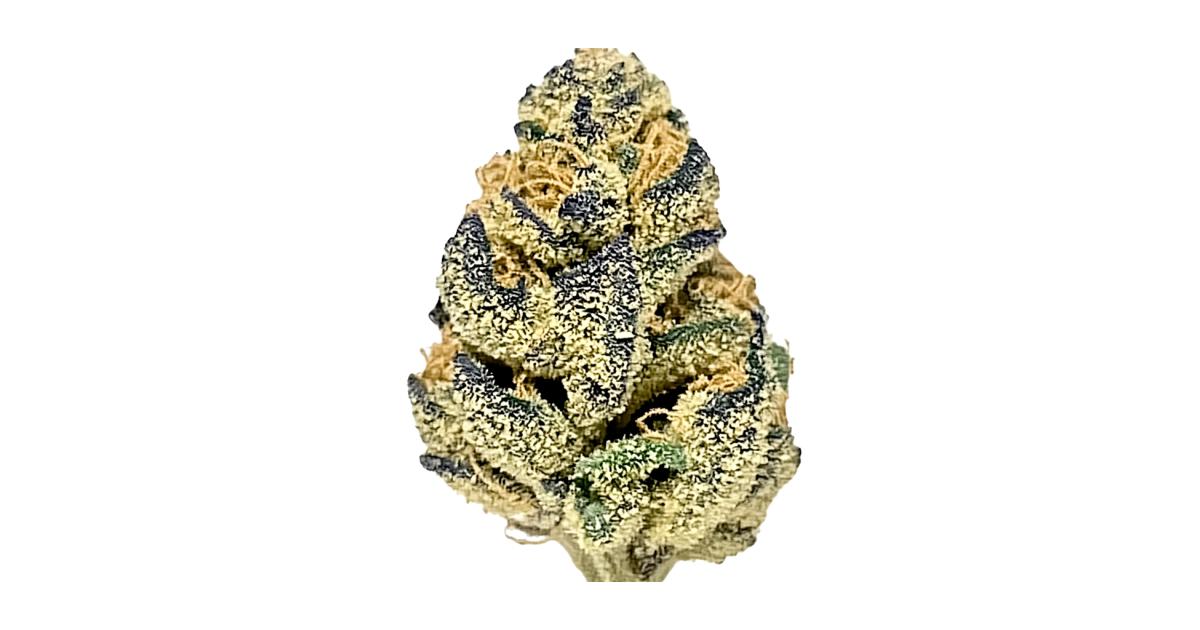 Sour Z Cannabis Strain Information - GrowDiaries