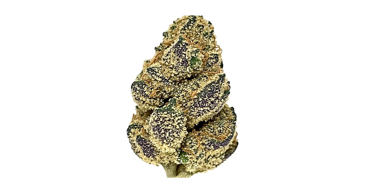 Cereal a la Mode Cannabis Strain Information - GrowDiaries