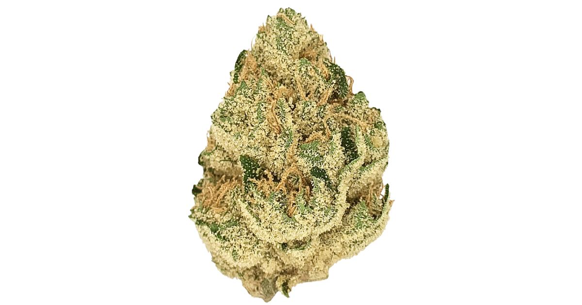 French Toast Cannabis Strain Information - GrowDiaries