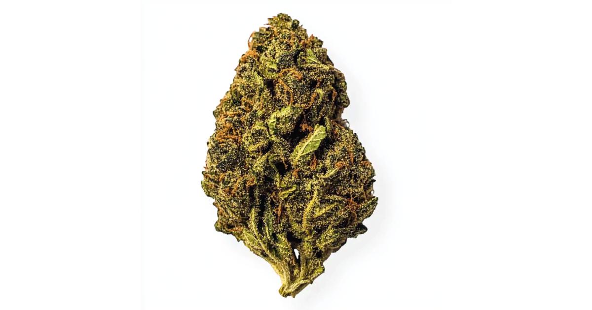 Georgia Pie Cannabis Strain Info - GrowDiaries