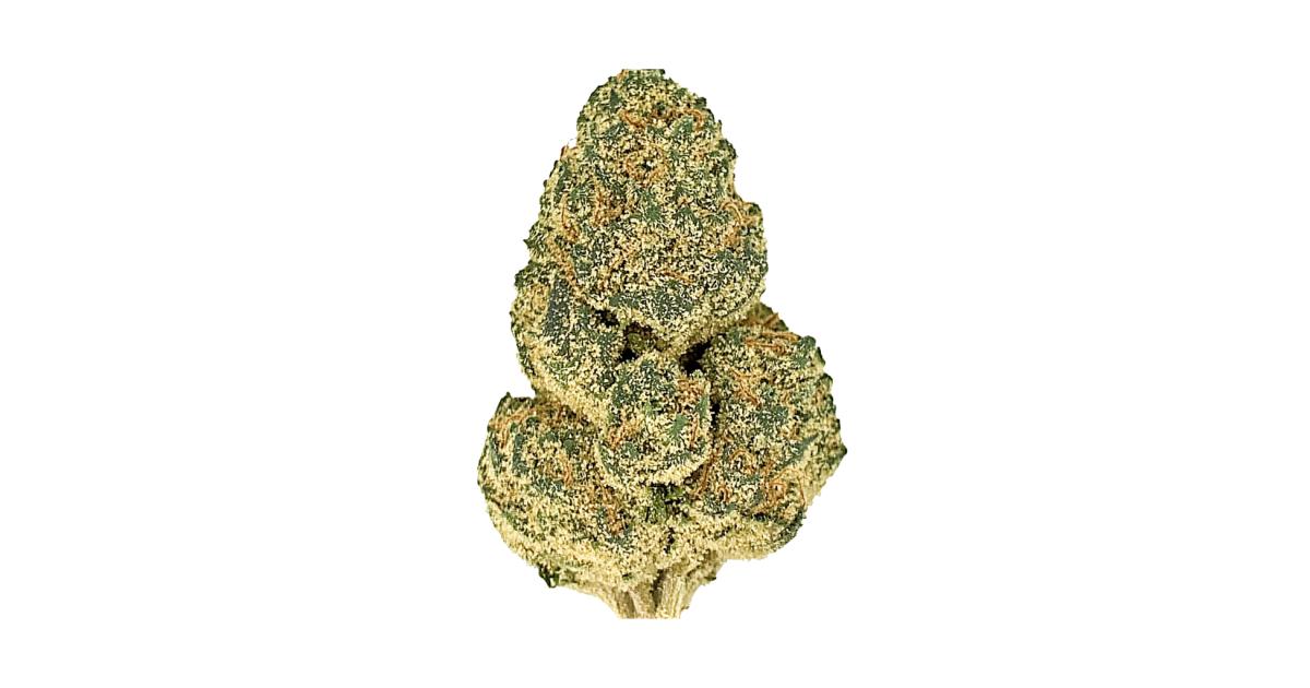 Black Triangle Cannabis Strain Information - GrowDiaries