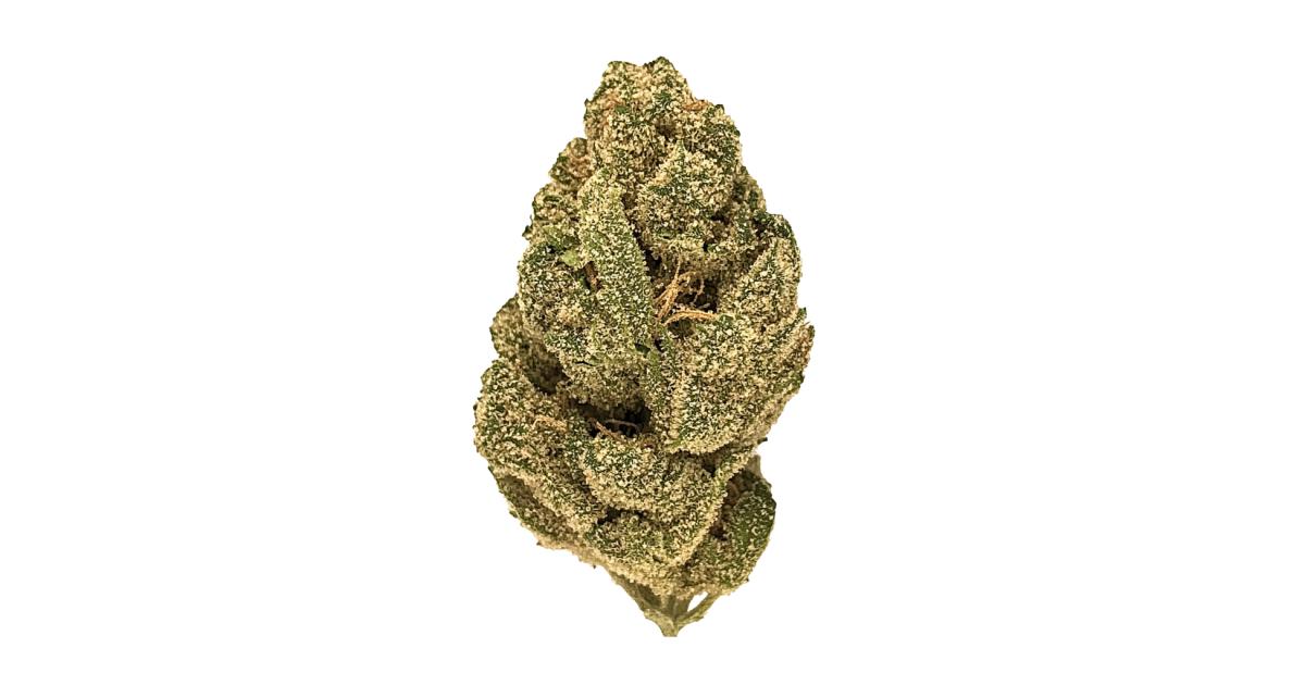 Candy Jack Cannabis Strain Information - GrowDiaries