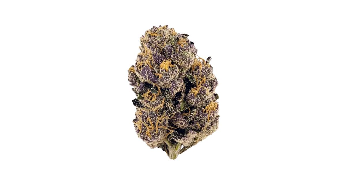 Purple Kush Cannabis Strain Information - GrowDiaries