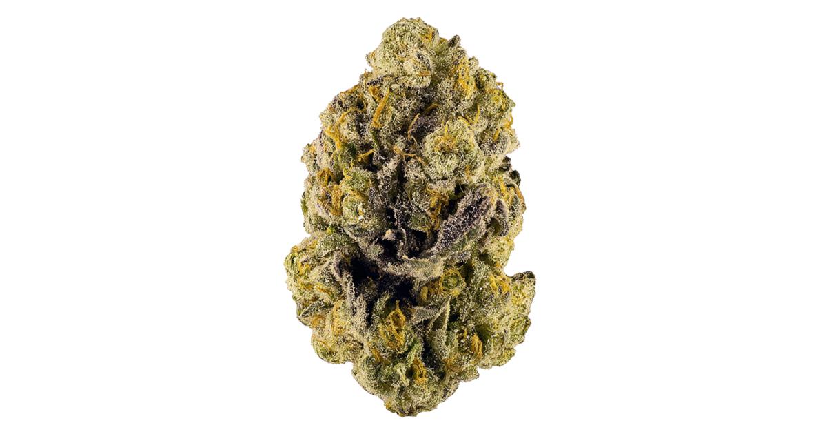 Purple OG Kush Cannabis Strain Information - GrowDiaries
