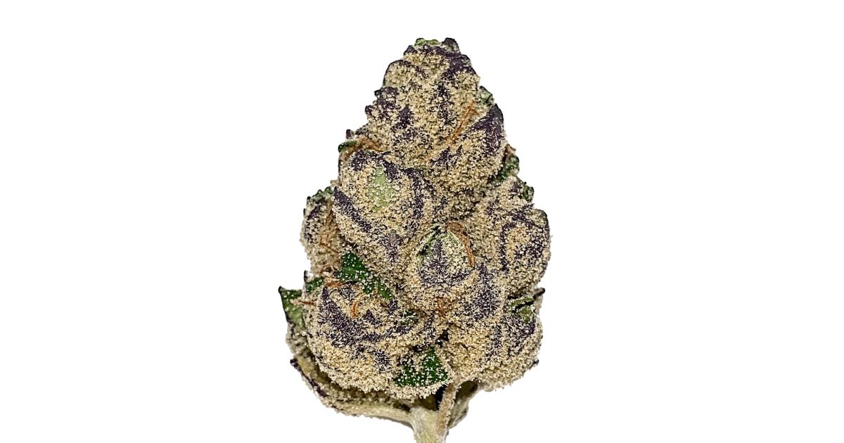 Hell Cat Strain