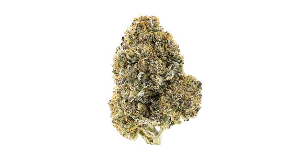Sour Jack Cannabis Strain Information - GrowDiaries