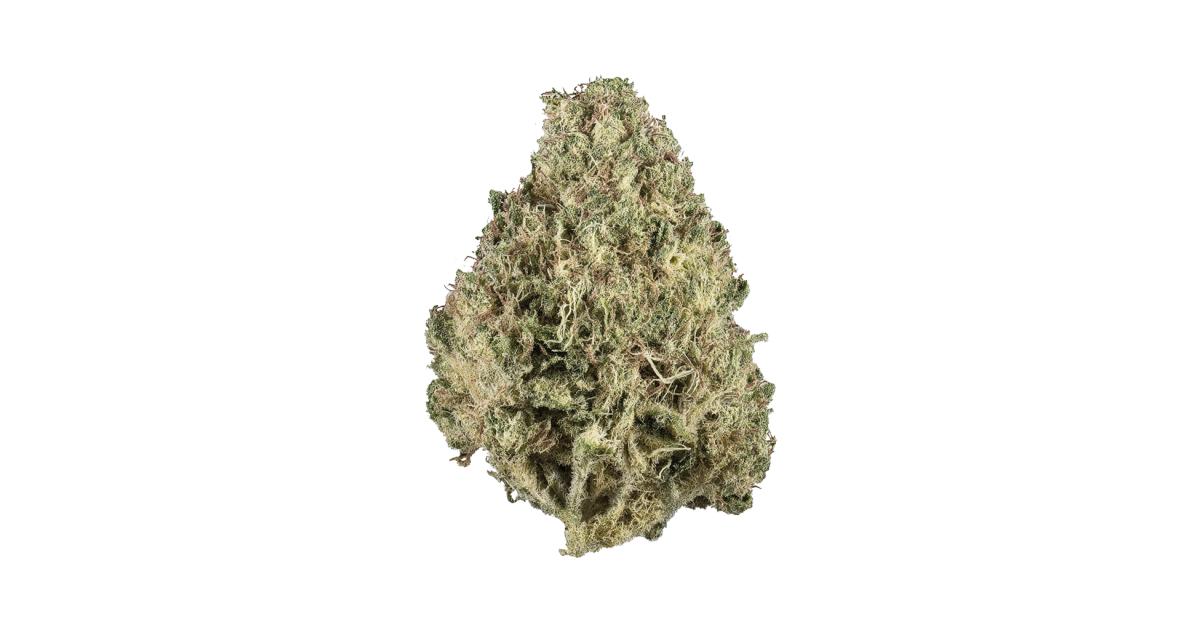 Fat Banana Cannabis Strain Harvests - GrowDiaries