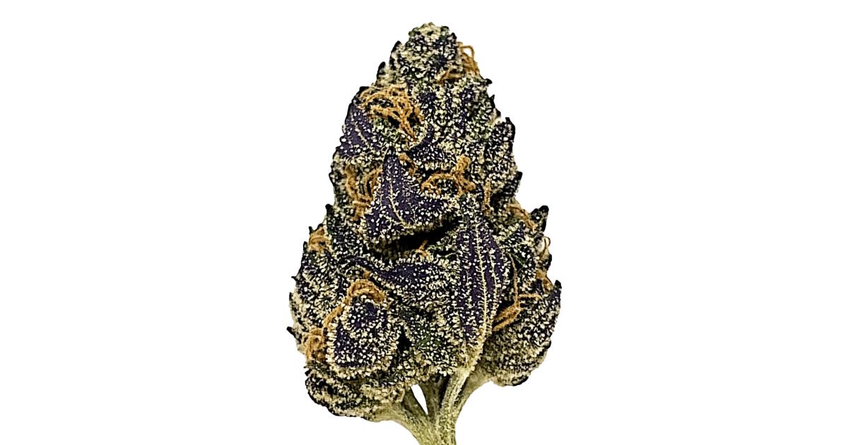 Happy Hour Cannabis Strain Info - GrowDiaries