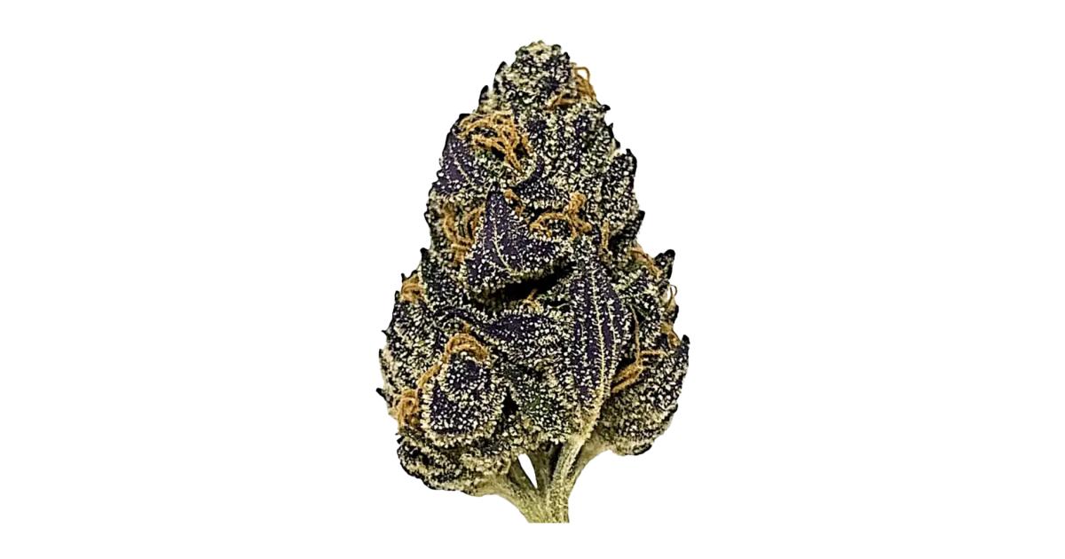 Happy Hour Cannabis Strain Information - GrowDiaries