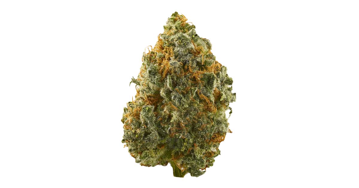 Brazilian Cannabis Strain Information - GrowDiaries