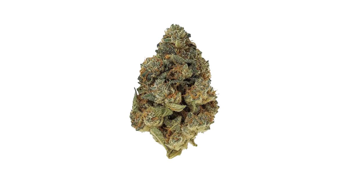 Sherbet BX1 Cannabis Strain Information - GrowDiaries