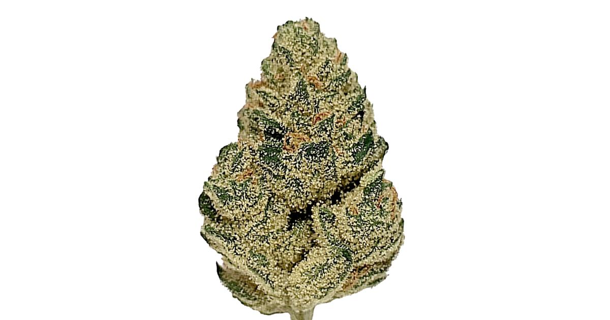 White Walker Kush Cannabis Strain Information - GrowDiaries