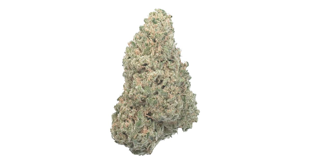 Melon Cannabis Strain Information - GrowDiaries