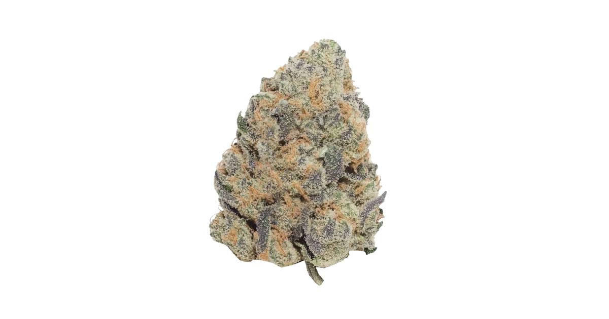 Papaya Sherbet Cannabis Strain Information - GrowDiaries