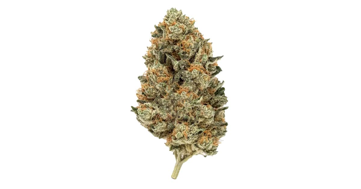 Lemon Mandarin Cannabis Strain Info - GrowDiaries