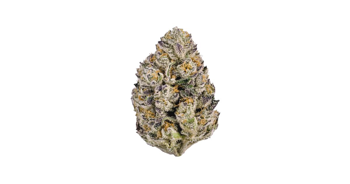 Lemon Cherry Runtz Cannabis Strain Information - GrowDiaries