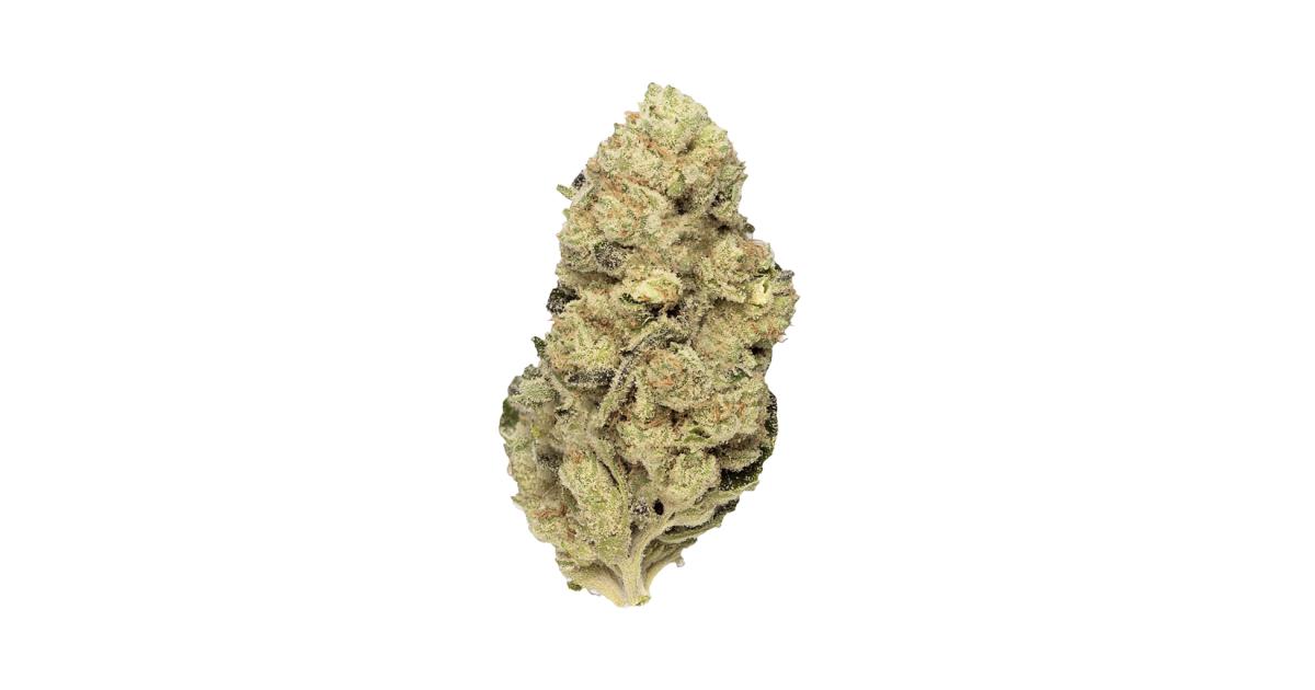 Animal Tsunami Cannabis Strain Information - GrowDiaries