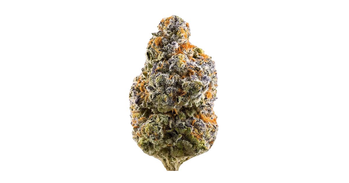 Purple Alien Cannabis Strain Information - GrowDiaries
