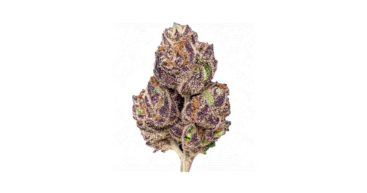 Ridgeline Runtz Cannabis Strain Information - GrowDiaries