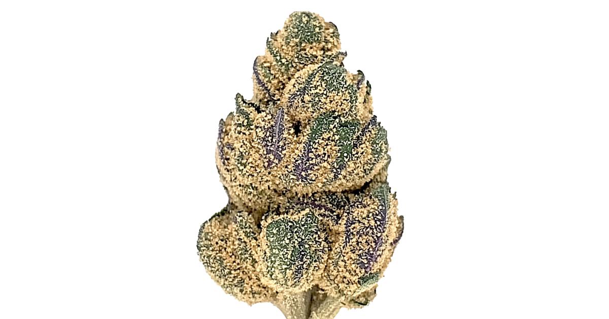 Rose OG Cannabis Strain Information - GrowDiaries