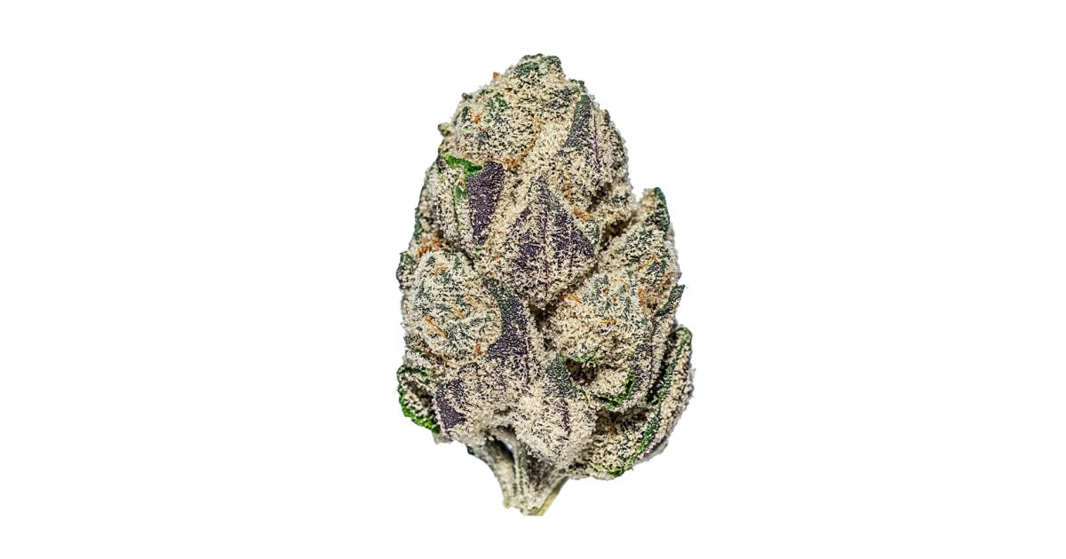 Sangria Cannabis Strain Information - GrowDiaries