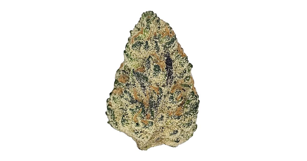 Canal Street Runtz Cannabis Strain Information - GrowDiaries