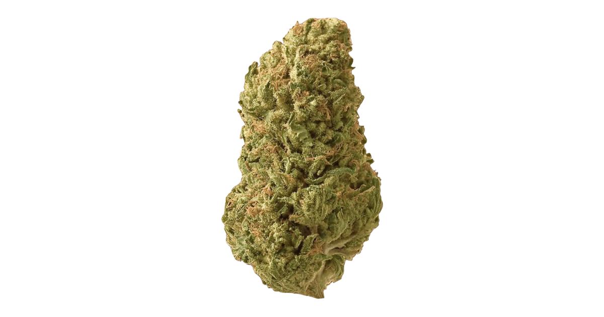 Dark Web Cannabis Strain Information - GrowDiaries