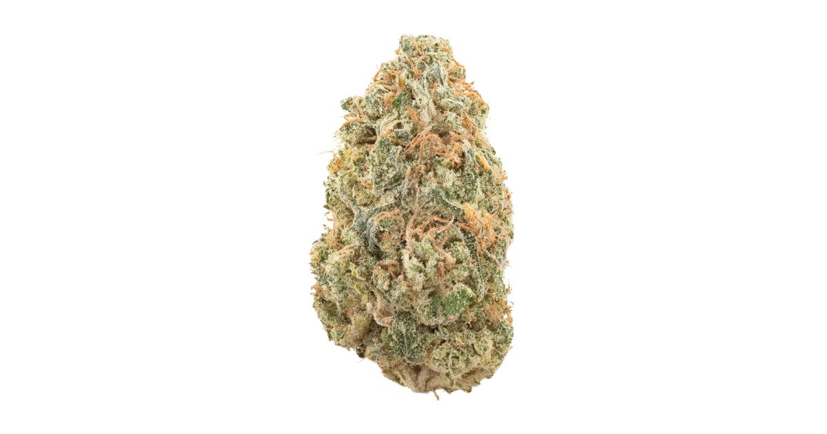 Orange Sherbet FF Cannabis Strain Information - GrowDiaries