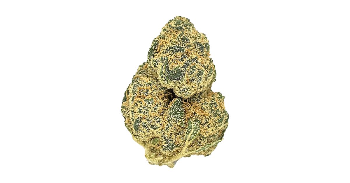 Orange Sherbet FF Cannabis Strain Products - GrowDiaries