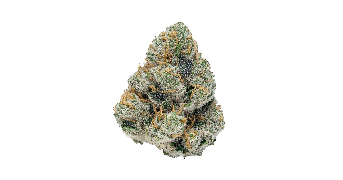 GG4 Sherbet FF Cannabis Strain Information - GrowDiaries