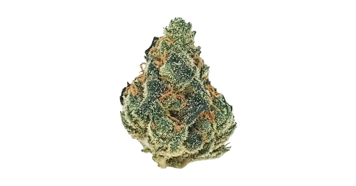 GG4 Sherbet FF Cannabis Strain Diaries - GrowDiaries