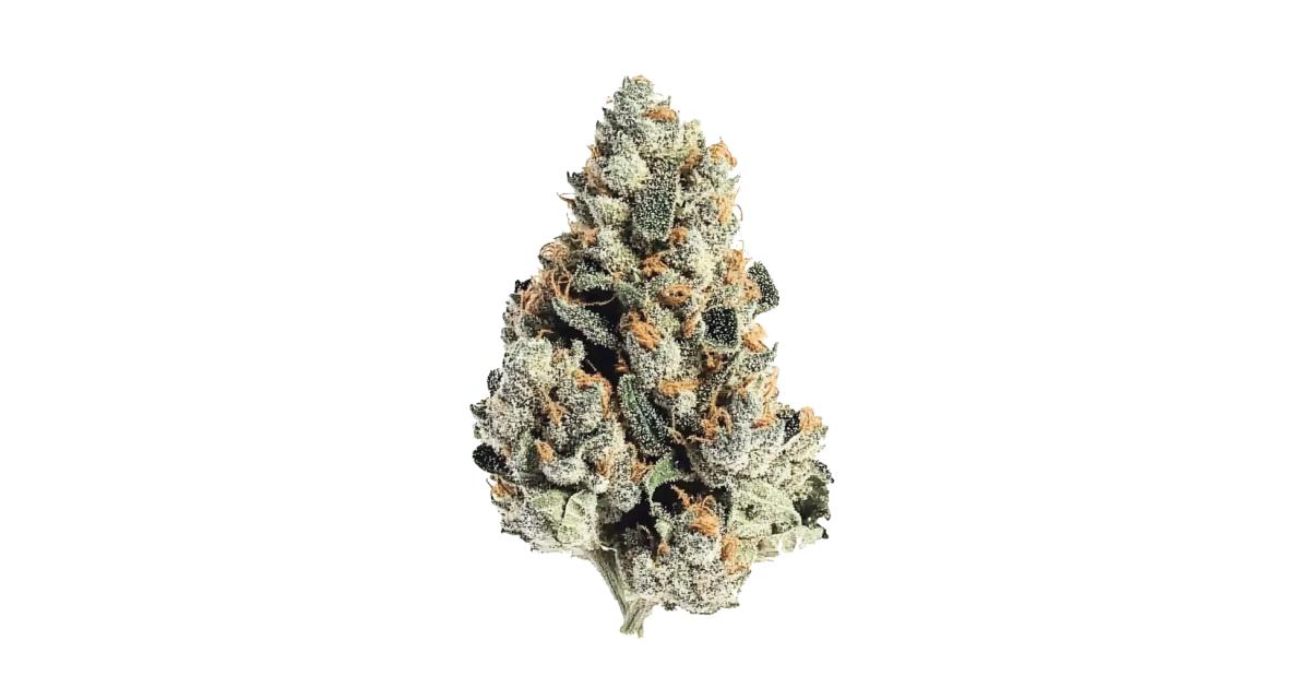 Frostbanger Auto Cannabis Strain Products - GrowDiaries