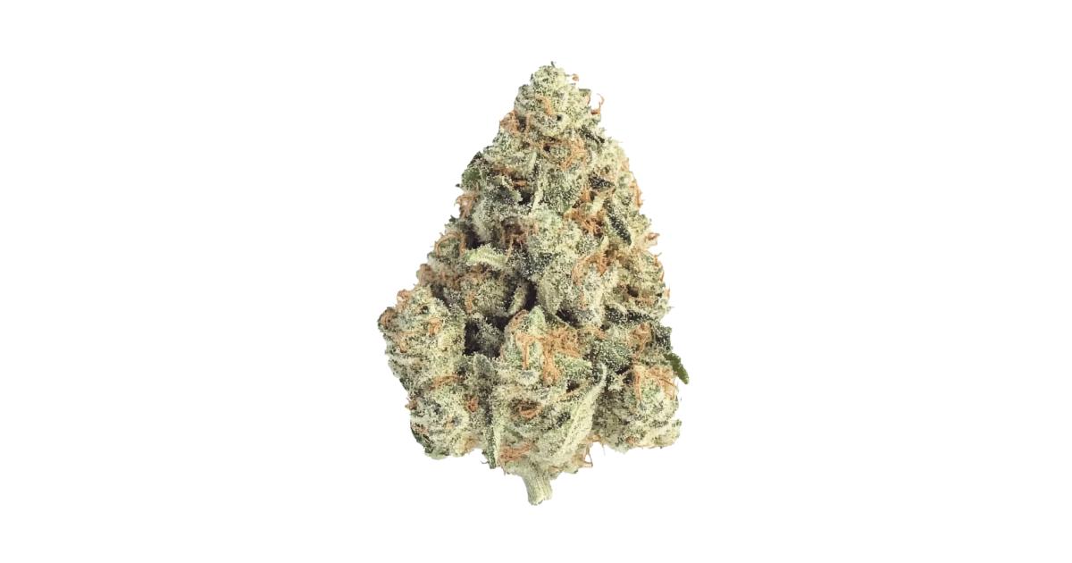 Frostbanger Auto Cannabis Strain Information - GrowDiaries