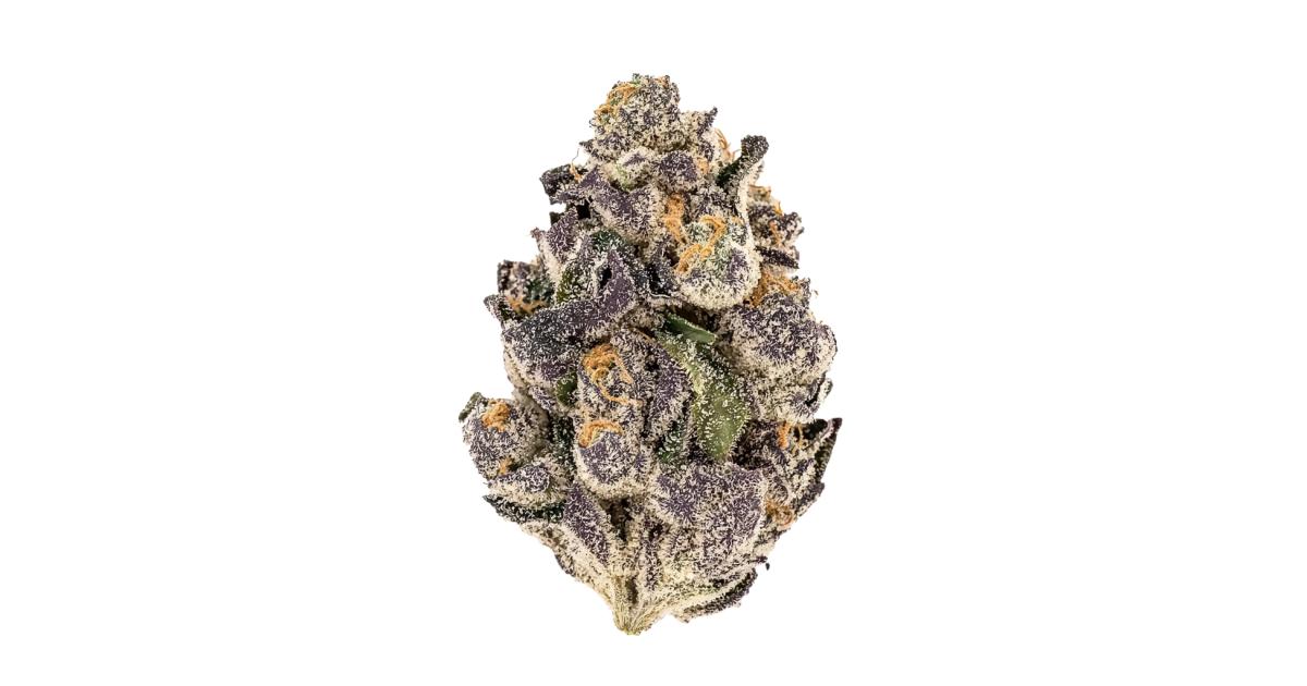 Purple Punch Auto Cannabis Strain Information - GrowDiaries