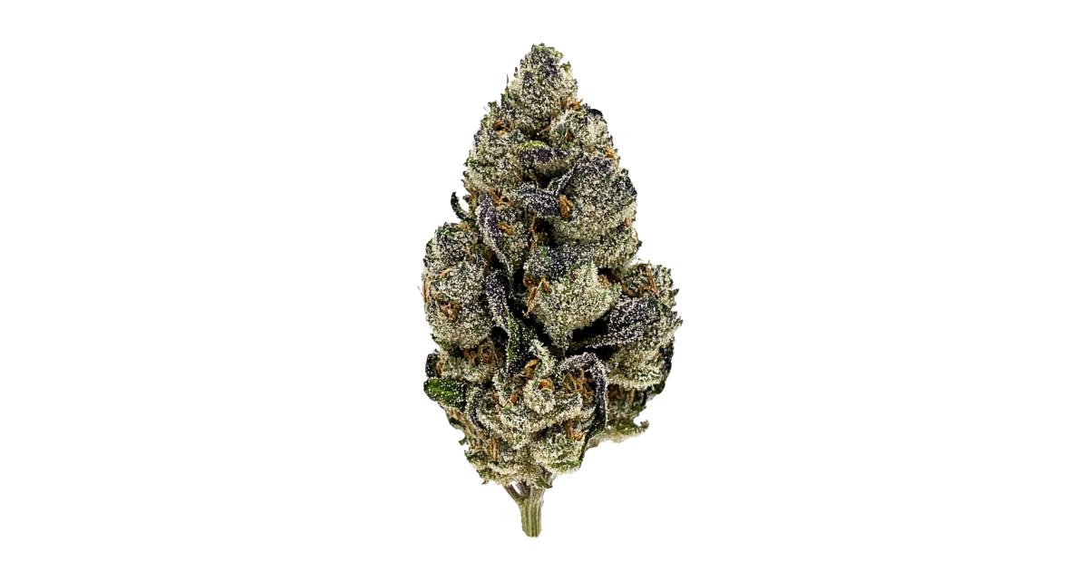 Forbidden Runtz Auto Cannabis Strain Information - GrowDiaries
