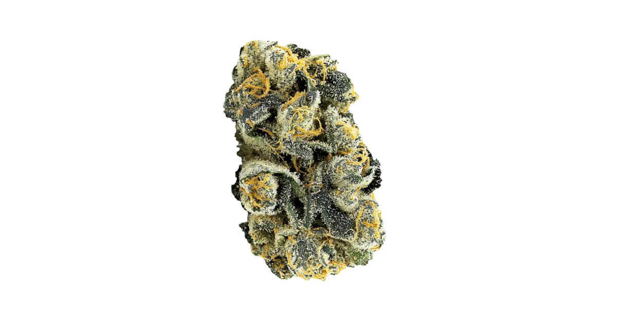 Forbidden Runtz Auto Cannabis Strain Information - GrowDiaries