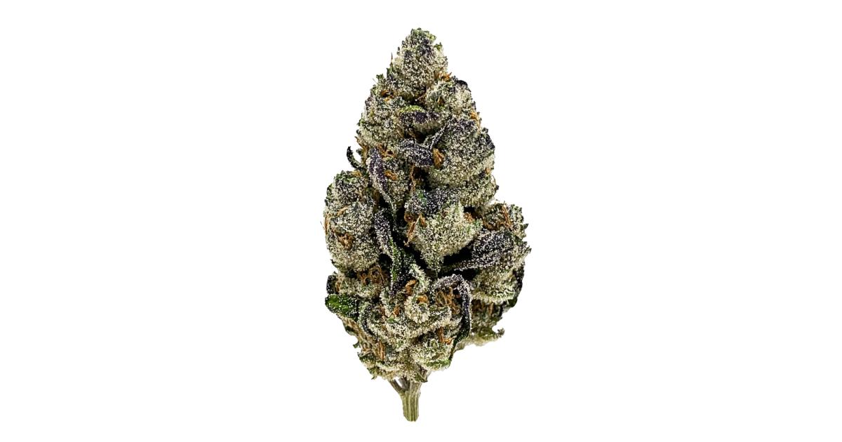 Forbidden Runtz Auto Cannabis Strain Information - GrowDiaries