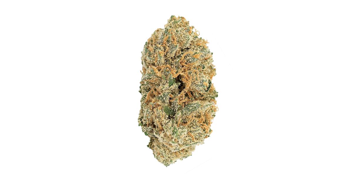 Gelato Auto Cannabis Strain Diaries - GrowDiaries